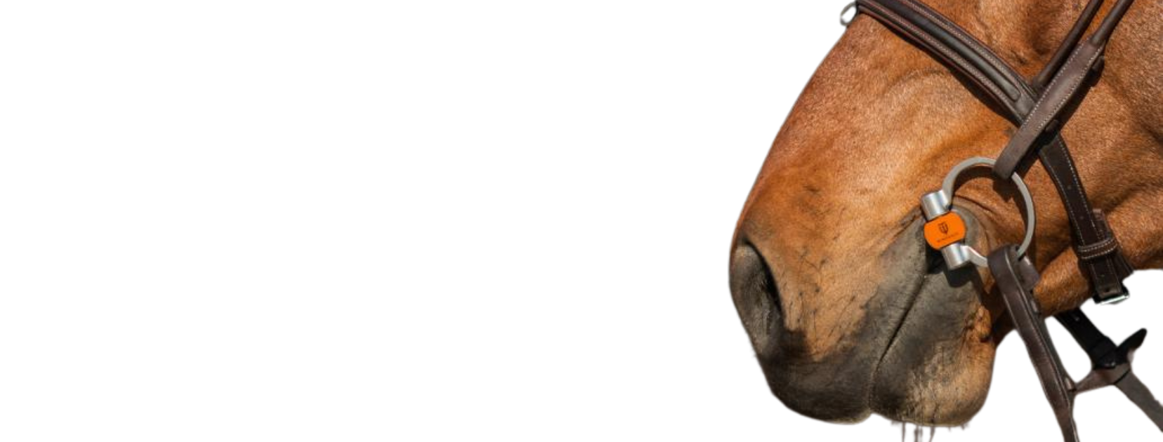 Ratsavarustus - Telli e-poest - Hingega asja juures - Ratsane